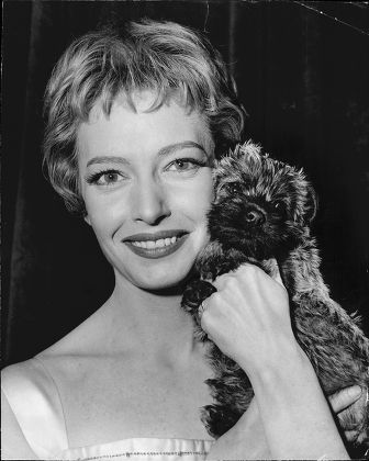Actress Jean Carson Her Pet Dog Editorial Stock Photo - Stock Image ...