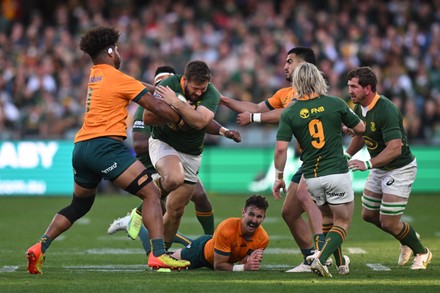 Australian Wallabies vs the South African Springboks, Adelaide ...