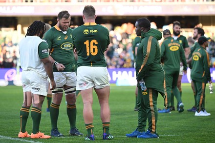 Frans Steyn Springboks 2nd Left Seen Editorial Stock Photo - Stock ...