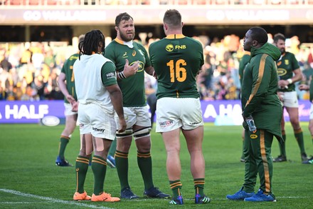 Frans Steyn Springboks 2nd Left Seen Editorial Stock Photo - Stock ...