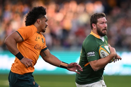 Frans Steyn Springboks Right Action During Editorial Stock Photo ...