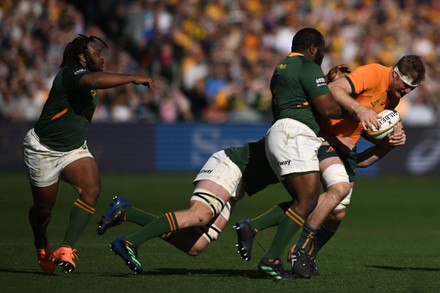 Australian Wallabies vs the South African Springboks, Adelaide ...