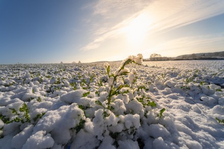 1,000 Snow covered land Stock Pictures, Editorial Images and Stock ...