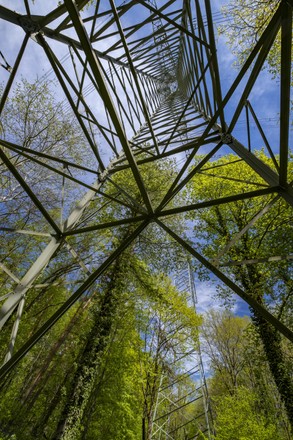 Highvoltage Pylon Electricity Pylon Forest Symbol Editorial Stock Photo ...