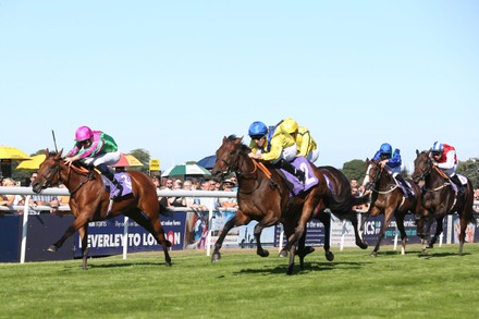 2,000 Gallop racing Stock Pictures, Editorial Images and Stock Photos ...
