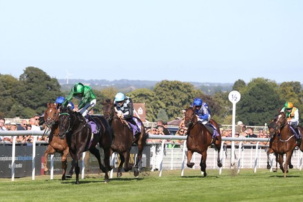 2,000 Gallop racing Stock Pictures, Editorial Images and Stock Photos ...