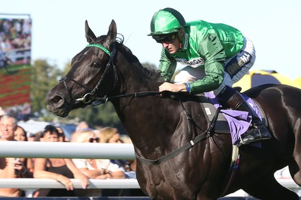 2,000 Gallop racing Stock Pictures, Editorial Images and Stock Photos ...