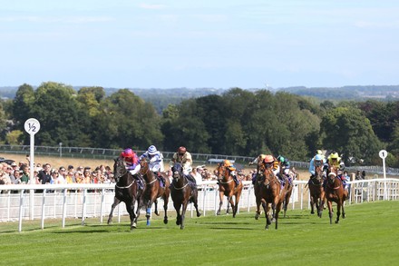 Horse Racing, Beverley Races - 27 Aug 2022 Stock Pictures, Editorial ...