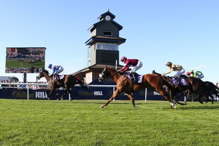 2,000 Gallop racing Stock Pictures, Editorial Images and Stock Photos ...