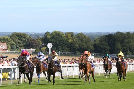 Horse Racing, Beverley Races - 27 Aug 2022 Stock Pictures, Editorial ...