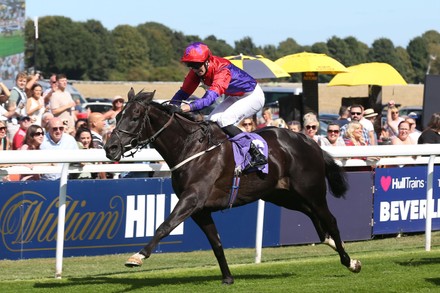 Horse Racing, Beverley Races - 27 Aug 2022 Stock Pictures, Editorial ...