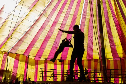 750 Circus workers Stock Pictures, Editorial Images and Stock Photos ...