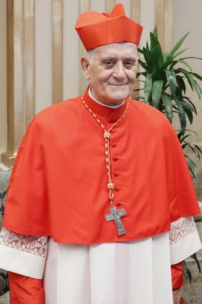 Italian New Cardinal Fortunato Frezza Poses Editorial Stock Photo ...