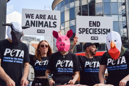 PETA anti-speciesism, pro-vegan protest in Leicester Square, London, UK ...