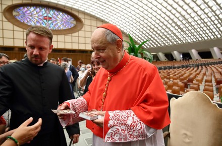 2,000 Cardinal visits Stock Pictures, Editorial Images and Stock Photos ...