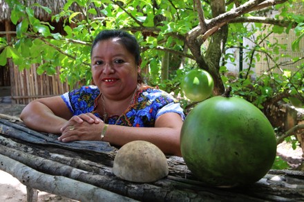 250 Ancestral food Stock Pictures, Editorial Images and Stock Photos ...