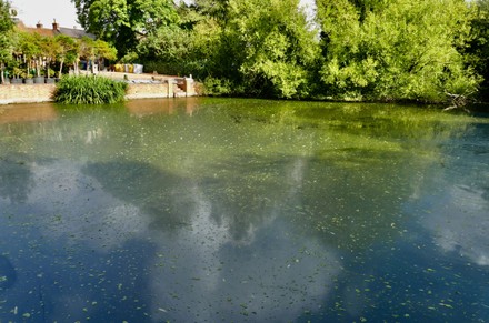 Seasonal weather, Emmer Green, Reading, UK - 29 Aug 2022 Stock Pictures ...