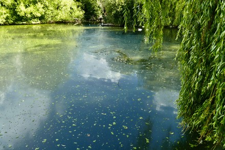 Seasonal weather, Emmer Green, Reading, UK - 29 Aug 2022 Stock Pictures ...