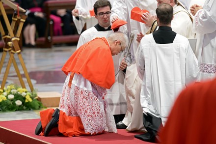 Pope Francis Appoints New Cardinal Mons Editorial Stock Photo - Stock ...