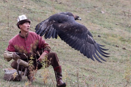 Kyrgyz Berkutchi Eagle Hunter Launches His Editorial Stock Photo ...