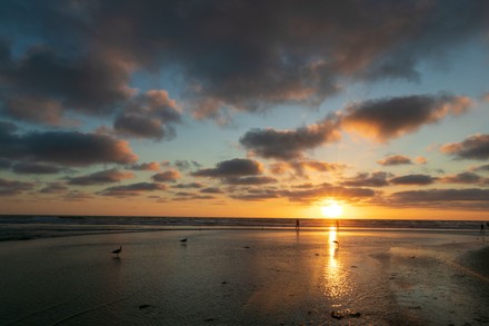 Sunset Torrey Pines State Beach Editorial Stock Photo - Stock Image ...