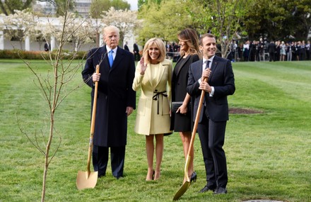 Tree Planted By Donald Trump His Editorial Stock Photo - Stock Image ...