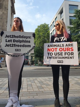 Peta Activists Two Orca Whales Protest Editorial Stock Photo - Stock ...
