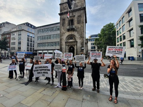 Peta Activists Two Orca Whales Protest Editorial Stock Photo - Stock ...