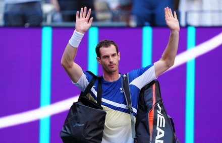 Andy Murray Reacts After Losing Editorial Stock Photo - Stock Image | Shutterstock