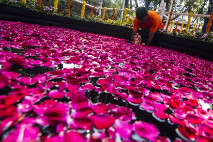 Volunteer Immerses Lord Ganesha Idol Artificial Editorial Stock Photo ...