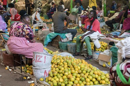 Trader Sells Oranges Fresh Food Market Editorial Stock Photo - Stock ...