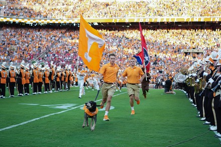 Tennessee Volunteers Mascot Smokey Takes Field Editorial Stock Photo ...