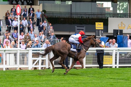 Horse Sound Iona Ridden By Jockey Editorial Stock Photo - Stock Image ...
