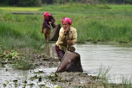 2,000 Fishers Stock Pictures, Editorial Images and Stock Photos ...