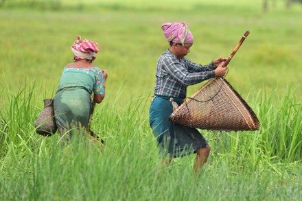 2,000 Fishers Stock Pictures, Editorial Images and Stock Photos ...
