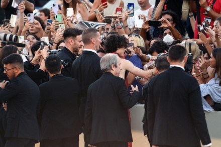 Timothee Chalamet Takes Selfies Fans Editorial Stock Photo - Stock ...