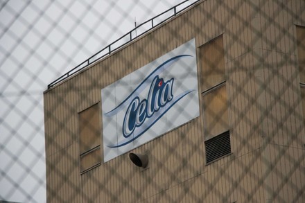 __COUNT__ Celia Dairy Company's Infant Milk Factory That Belongs To The ...