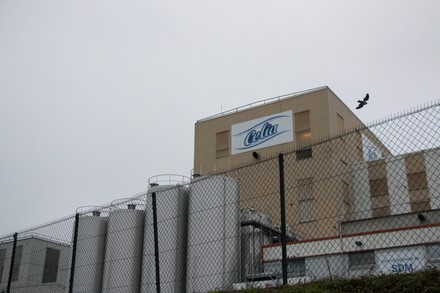 __COUNT__ Celia Dairy Company's Infant Milk Factory That Belongs To The ...