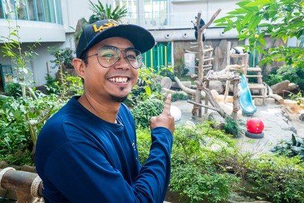 Giant Panda Caretaker Akmal Hadi Samsuddin Editorial Stock Photo ...