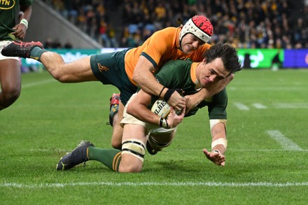 Franco Mostert South Africa Scores Try Editorial Stock Photo - Stock ...