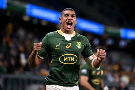 Damian Willemse South Africa Celebrates Following Editorial Stock Photo ...
