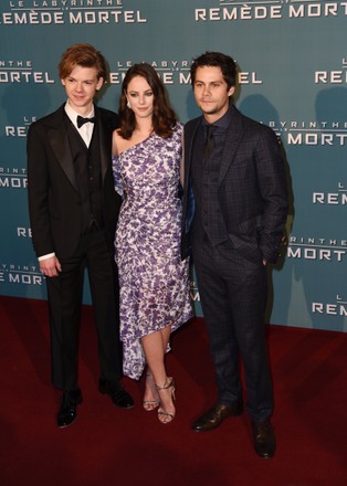 Actors Thomas Brodiesangster Kaya Scodelario Dylan Editorial Stock ...