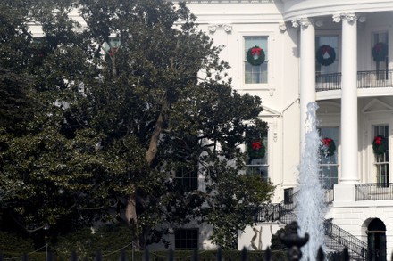 Historic Jackson Magnolia Planted On South Editorial Stock Photo ...