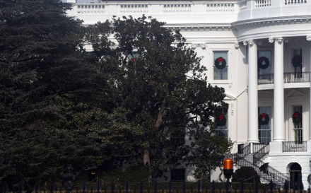Historic Jackson Magnolia Planted On South Editorial Stock Photo ...