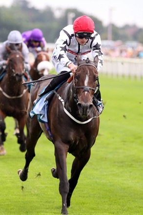 Jockey Oisin Orr During York Race Editorial Stock Photo - Stock Image ...