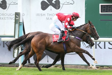 Annie R U Ok Ridden By Editorial Stock Photo - Stock Image | Shutterstock