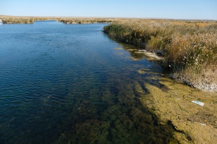 38 imágenes de The Aral Sea. The territory is subject to environmental ...
