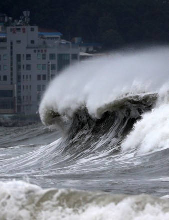 Ferocious Waves Hit Haeundae Beach Countrys Editorial Stock Photo ...