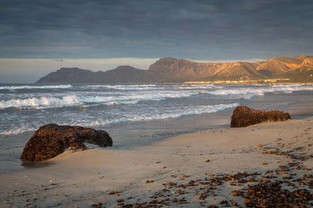 Evening Atmosphere Sandy Beach Playa Sa Editorial Stock Photo - Stock ...