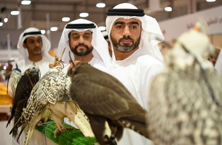 Qatar Doha Hunting and Falcons Exhibition - 05 Sep 2022 Stock Pictures ...